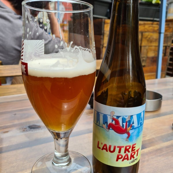 De Zotten Ezel / L'âne Fou - Schaarbeek, Brussel-Hoofdstad