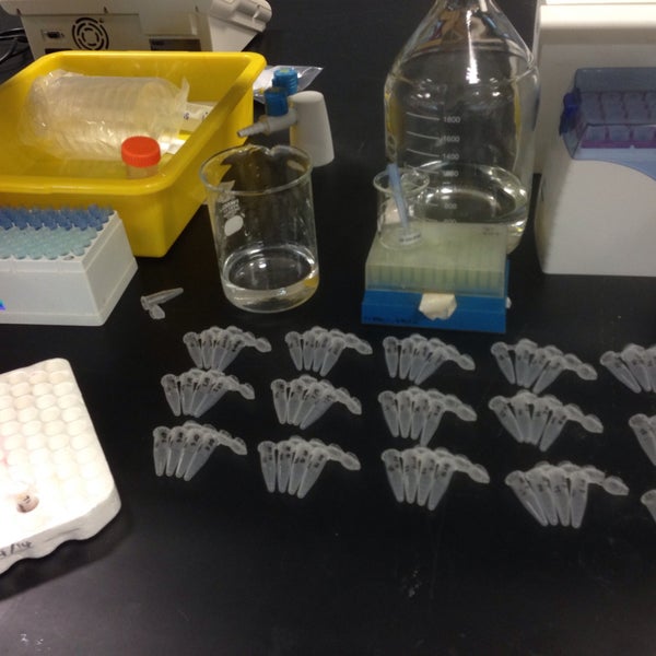 Cell-Signaling Laboratory - University