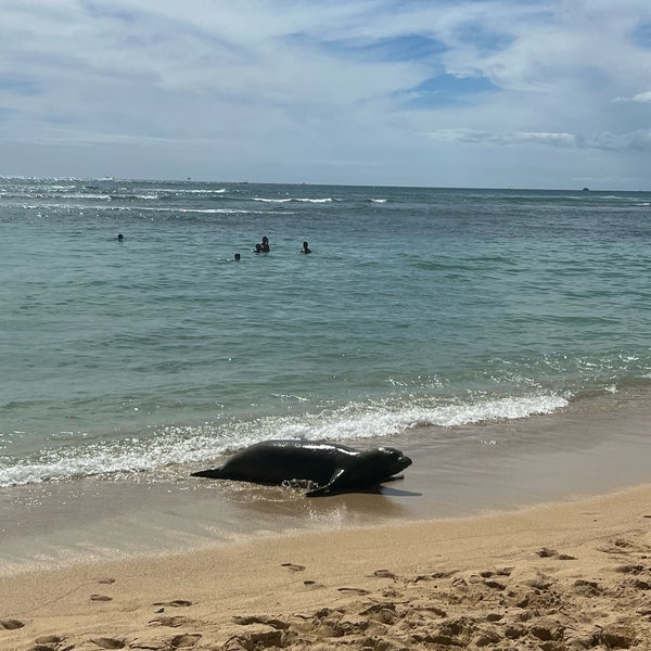 Kaimana Beach - Diamond Head - Kapahulu - St. Louis - Honolulu, HI