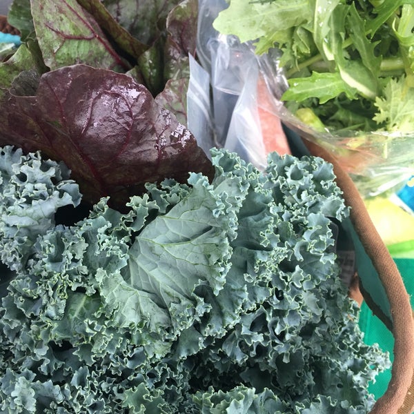 Palisades Farmers Market - Foxhall-Palisades - Washington, D.C.