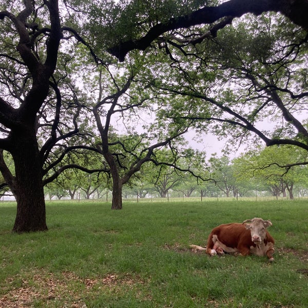 Lyndon B. Johnson State Park & Historic Site - 18 tips