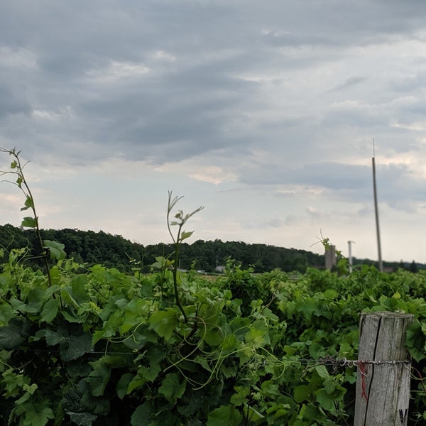 Niagara College - NOTL Campus - 6 tips from 598 visitors