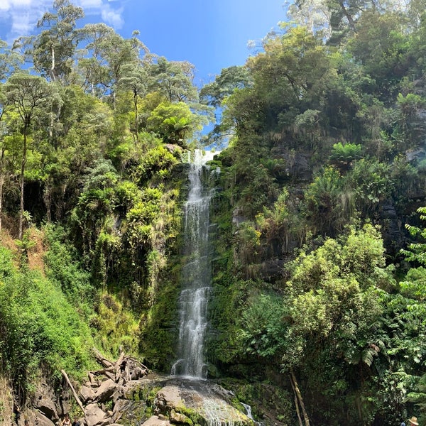 Erskine Falls - 4 tips
