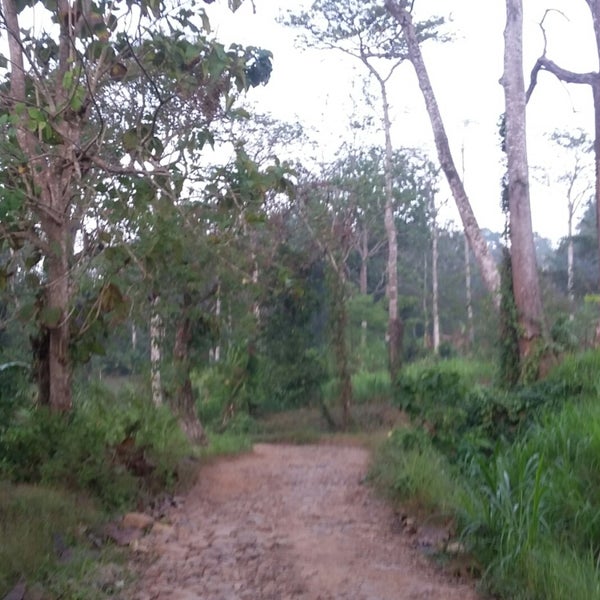 Taman Nasional Meru Betiri (TNMB) - Jember - Banyuwangi