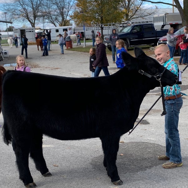 Wood County Fairgrounds - 11 tips