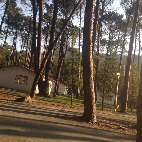 Photos at Pine Forest Ceres