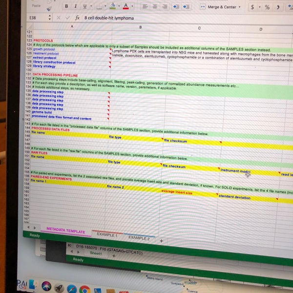 Photos at MIT Barker Engineering Library (10-500) - College Library in MIT