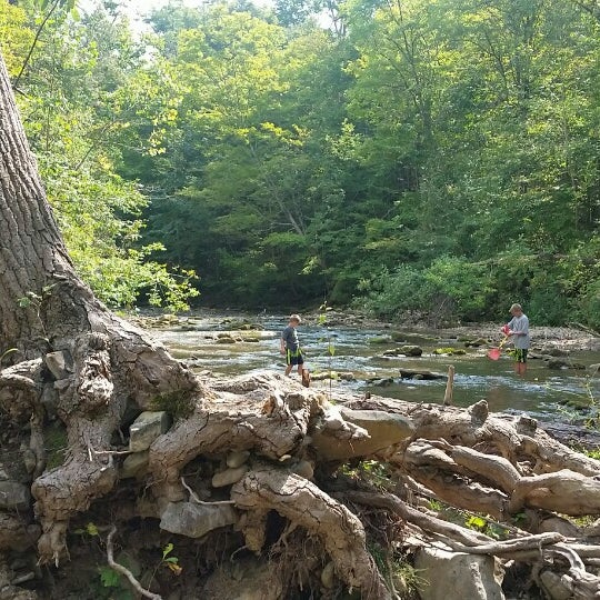 Photos at Mill Run Park - Park in Manlius