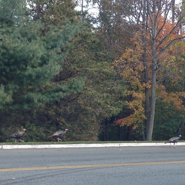 Photos at Delta Gas - Boonton, NJ