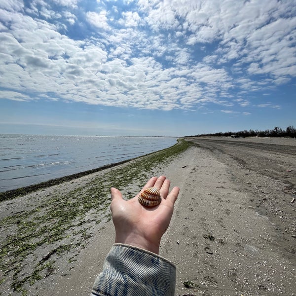 Spiaggia di Albarella - Beach