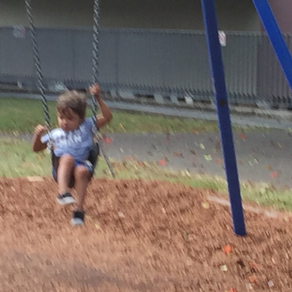 Photos at McCaskie Park - Kelvin Grove, QLD