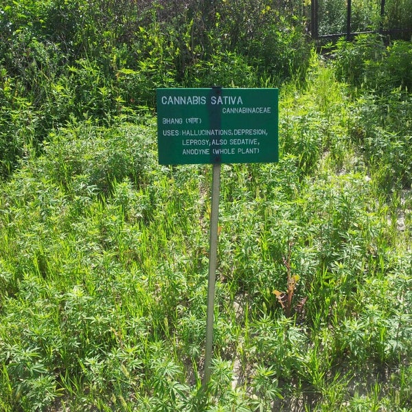 BOTANICAL GARDEN BUS STOP (Buses for Greater Noida) - Bus Station