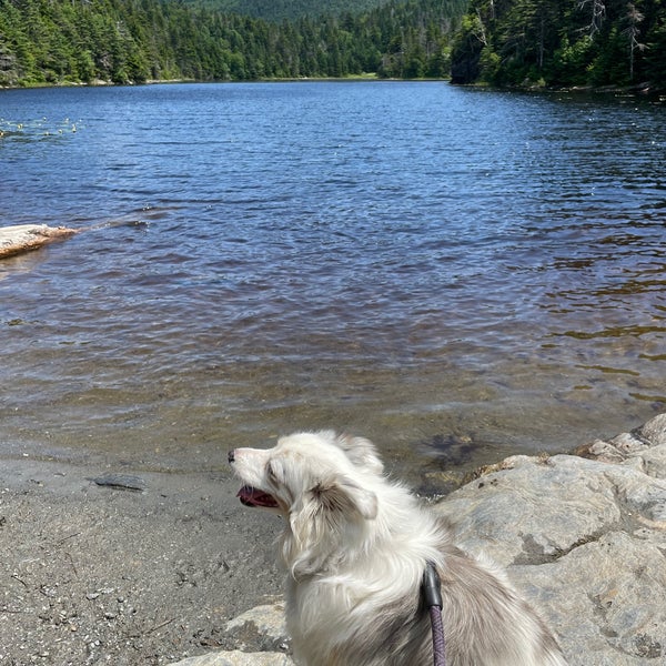 Sterling Pond / Sterling Gorge - Stowe, VT