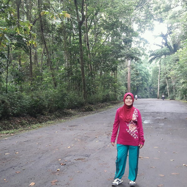 Hutan konservasi CIFOR,IPB - 18 visitors
