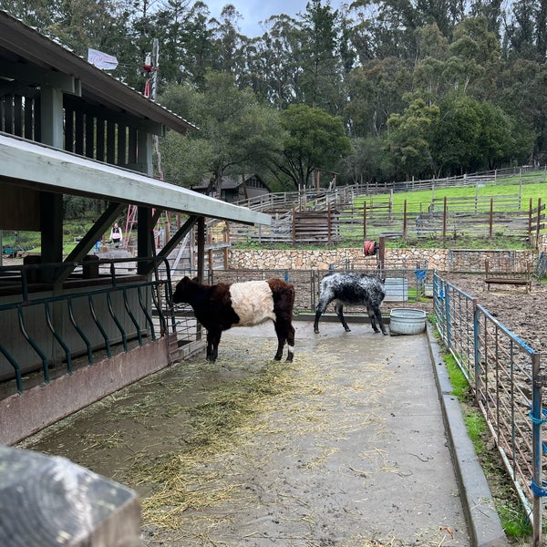 The Little Farm - Farm in Berkeley
