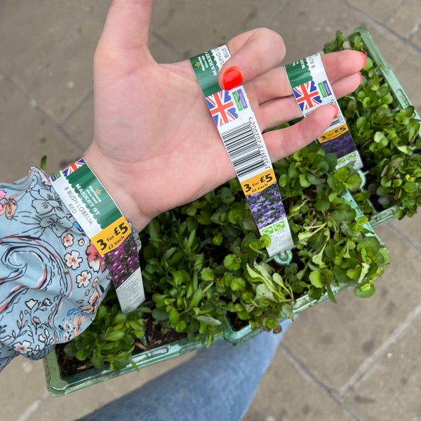 Morrisons - Supermarket in Wimbledon