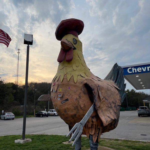 Shady Lawn Truck Stop "Home Of The Big Chicken" - Diner