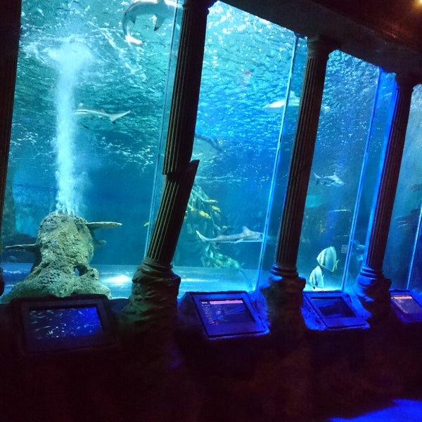 Sea Life Centre - Aquarium