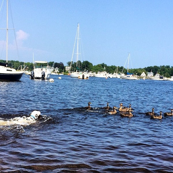 Photos at Cashman Park - Newburyport, MA