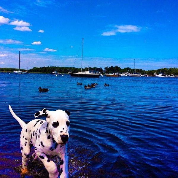 Photos at Cashman Park - Newburyport, MA