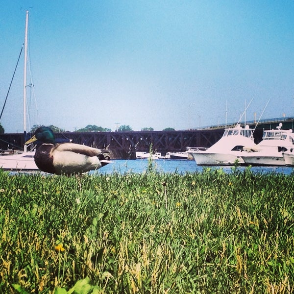 Photos at Cashman Park - Newburyport, MA