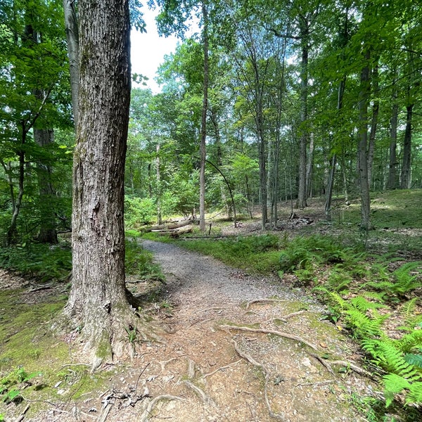 Jockey Hollow - Park in Mendham Township