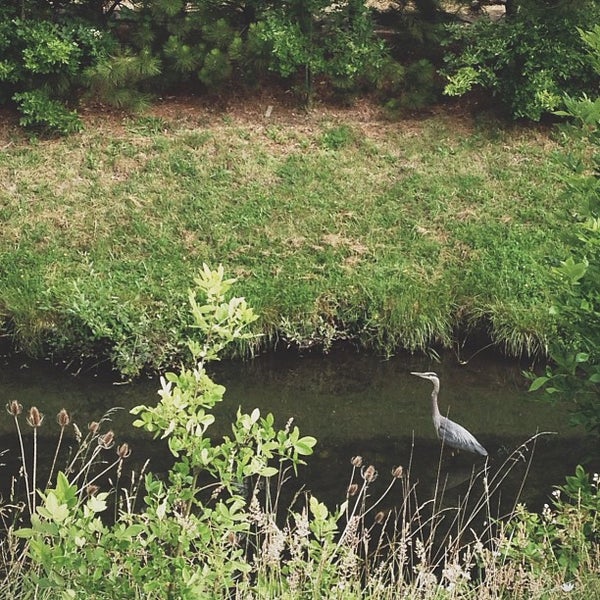 Fern Ridge Bike Path - Eugene, OR