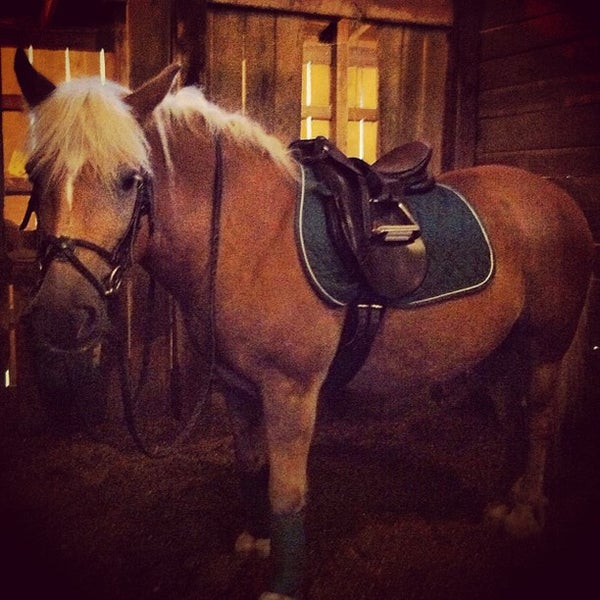 Photos at Meredith Manor International Equestrian Centre - 12 visitors