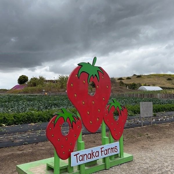Tanaka Farms - Farm in Irvine