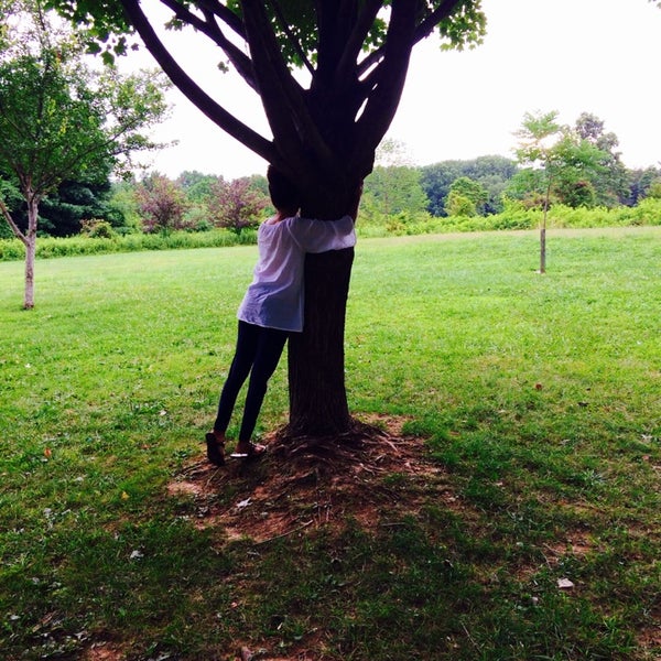 Pennypack Park - Field in Holmesburg