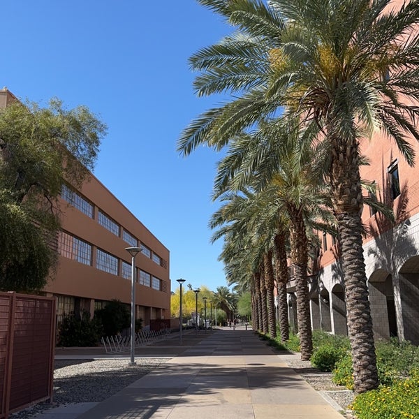 Arizona State University Campus Palm Walk