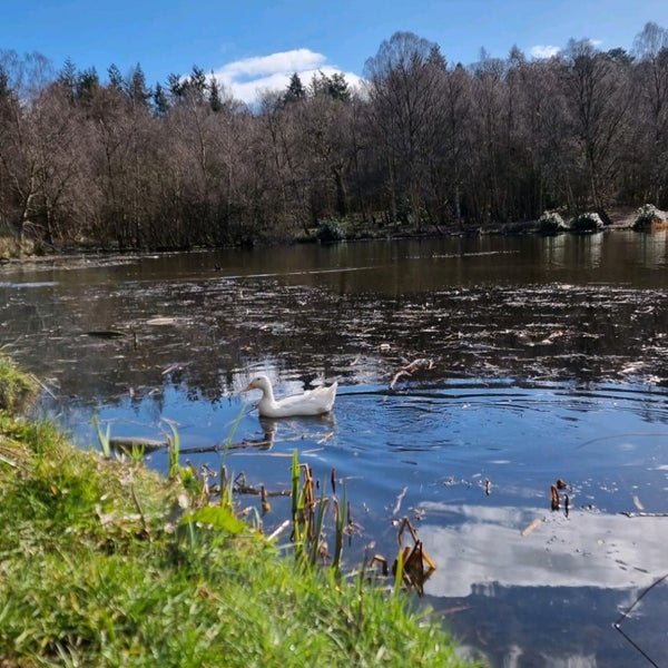 Callendar Park - Park