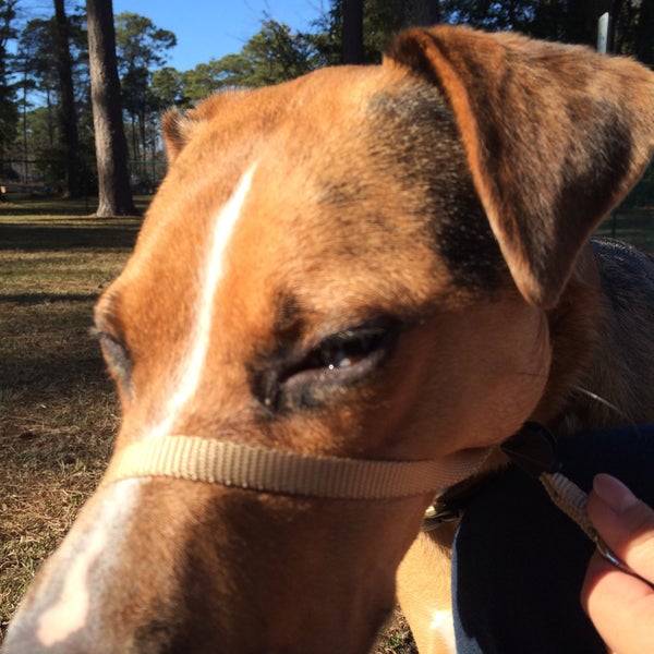 Woof Spot at Grant's Landing - 2 tips from 11 visitors