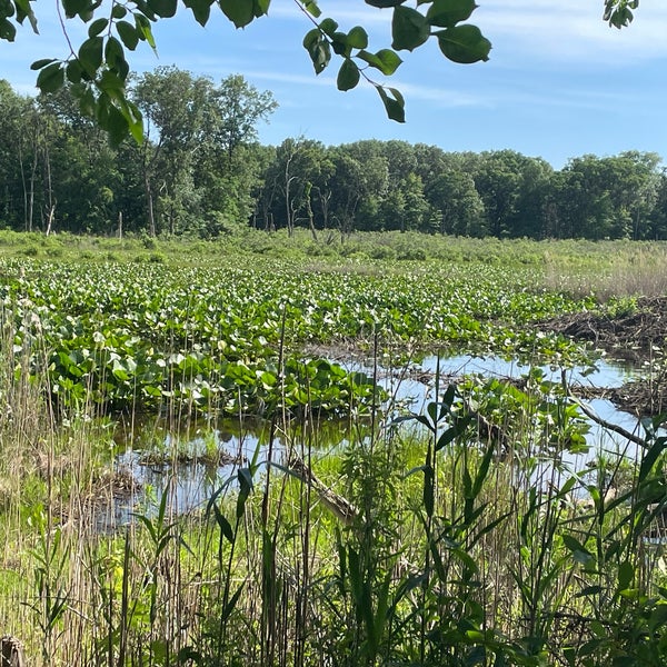 Cowles Bog - Dune Acres, IN