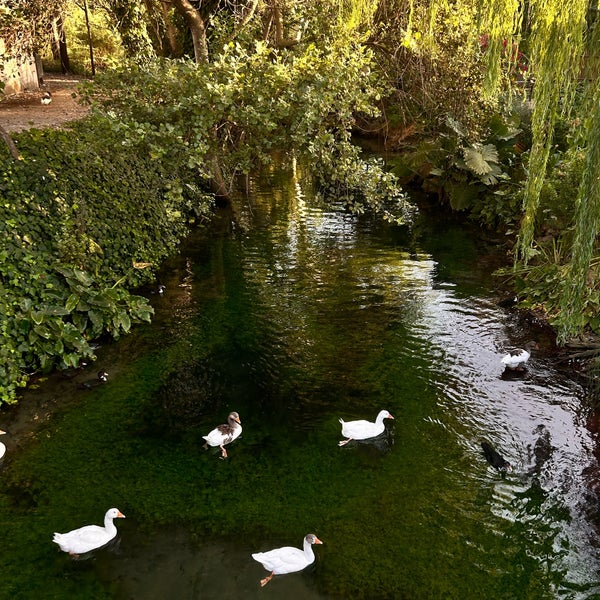 Armenoi - 264 visitors