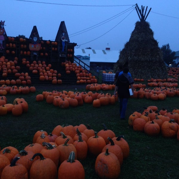 The Great Pumpkin Farm - 13 tips from 974 visitors