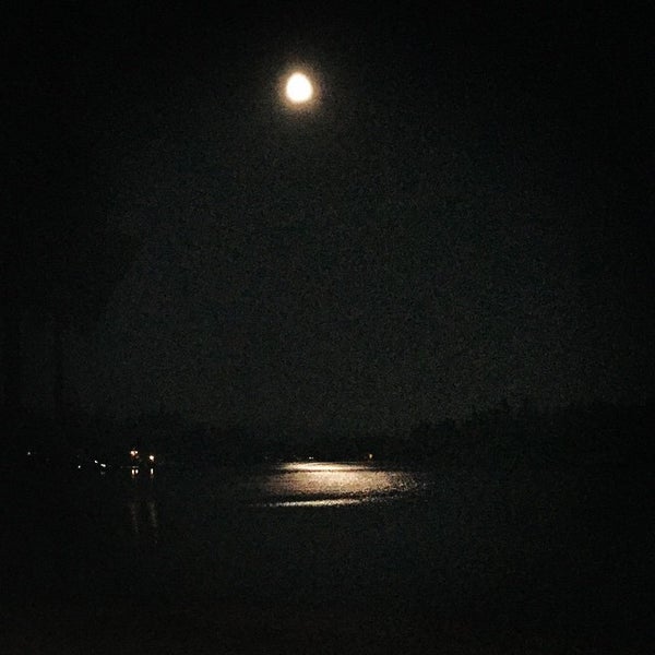 Tapps Island - Lake Tapps, WA