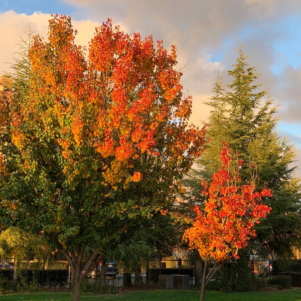 O'Toole Elms Park (KB Park) - Midtown - 1 tip from 78 visitors