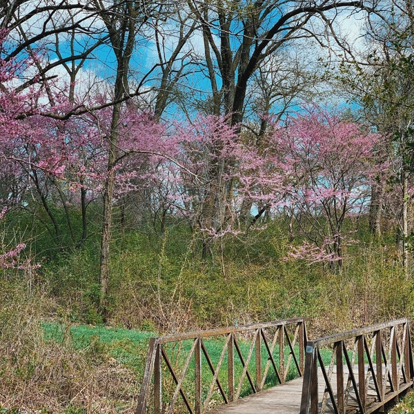 Blackwell Forest Preserve - Warrenville, IL