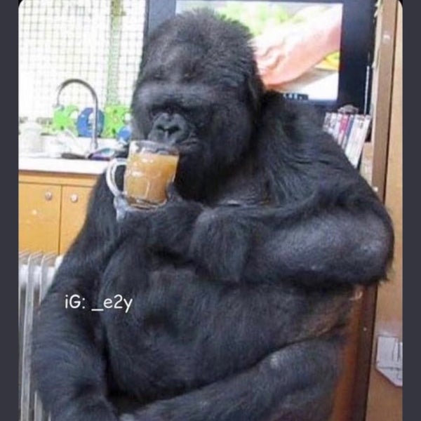 Trek Bicycle - Bike Shop in riyadh