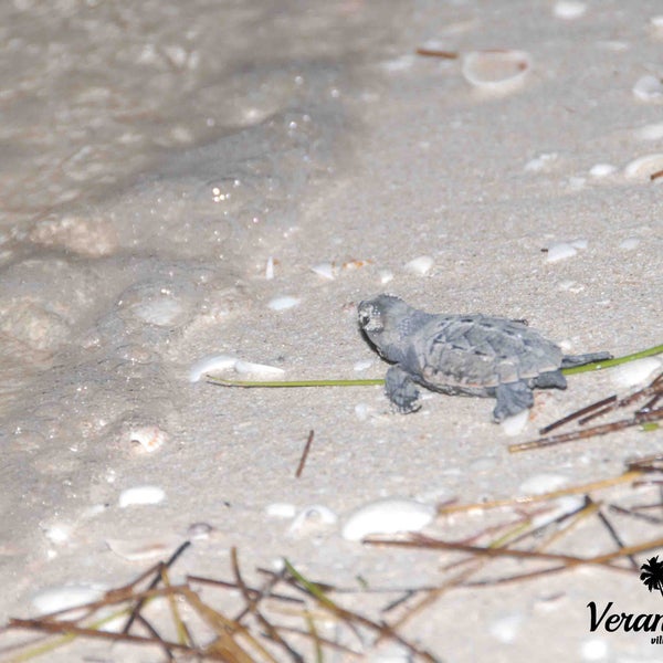 Villas Wayak - Housing Development in Dzemul