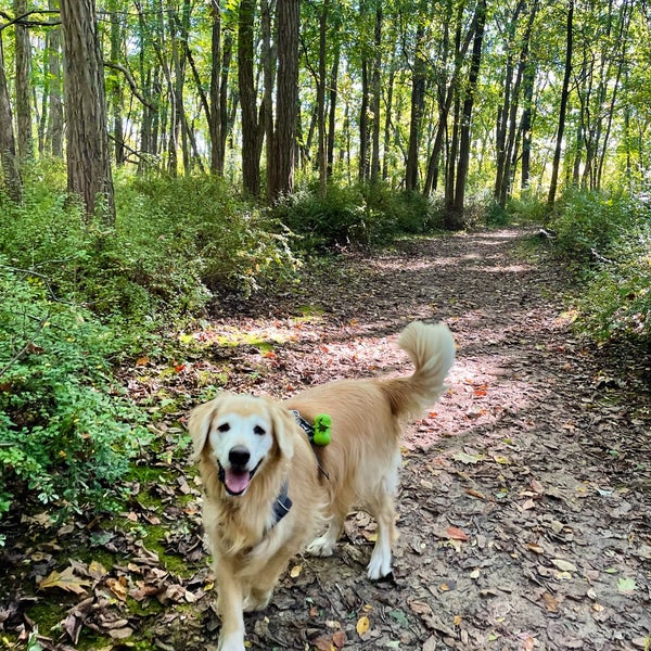 Huron Meadows Metropark - Park
