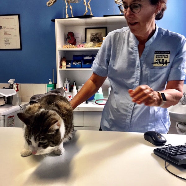 Bondi Junction Veterinary Hospital - Bondi Junction, NSW