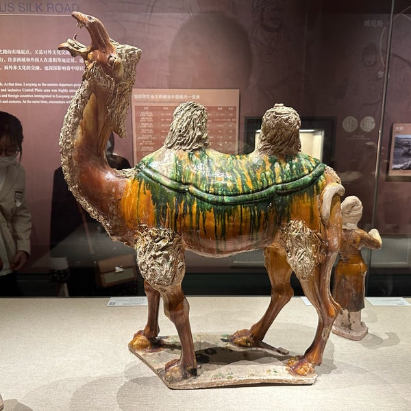 河南博物院 Henan Museum - 6 tips