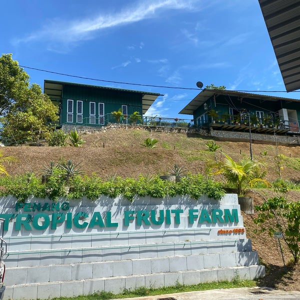 Tropical Fruit Farm - 28 tips