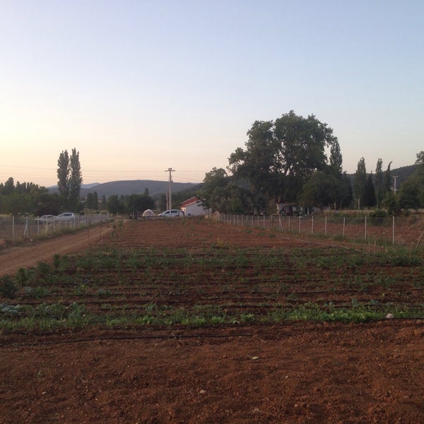 UrAs'ın KaMeLYaSı - Farm