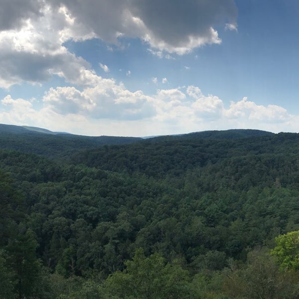 Green Ridge State Forest - Forest in Flintstone