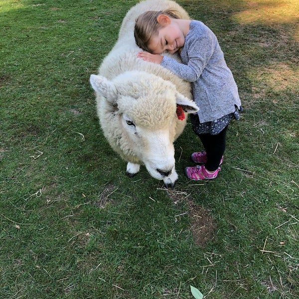 The Friendly Farm - Farm