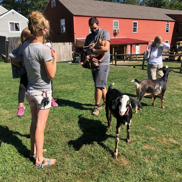 The Friendly Farm - Farm