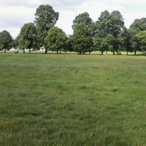 Redbourn Common - Park
